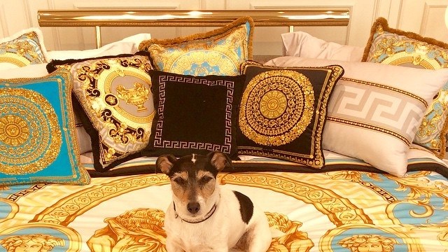 Η Audrey Versace μας συστήνει τη συλλογή της - Deluxe